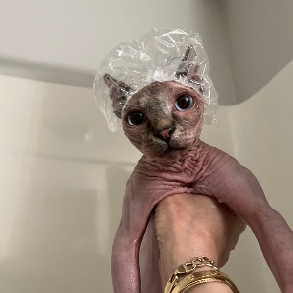 Kotomoda Shower Caps for Sphynx Cats and Small Pets 20pcs in a Tin Box ...
