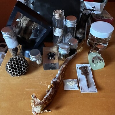 Oddities & Curiosities Mystery Box 5 Lot Haunted Paranormal Creepy Wet ...