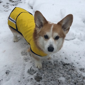 Corgi Rain Jacket - Etsy