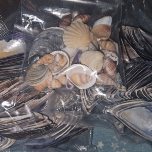 Sand of Sea Beach Sand Bulk Sand for Crafting Natural Sand for DIY 1 ...