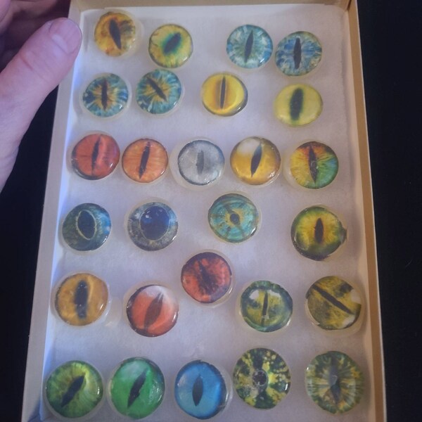 3D Sea Shell Lollipops 6-piece Set by I Want Candy - Etsy