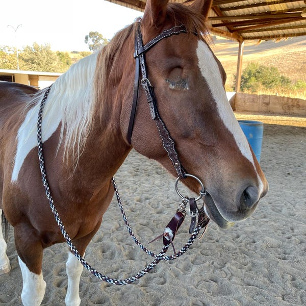 Yacht Rope Sport Mecate Reins W Poppers! Use With Slobber Straps ...