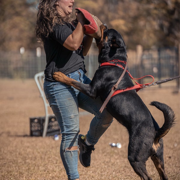 3mm Long Link Fur Saver Custom Powder Coated Herm Sprenger Fur Saver Collar for Dogs - Etsy