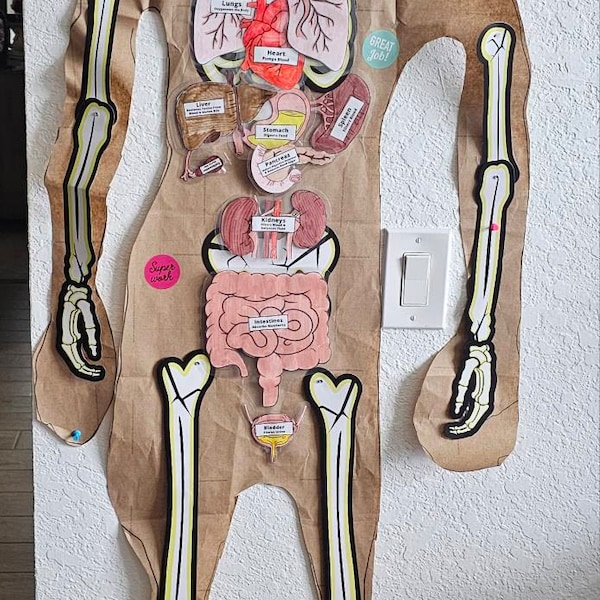 Anatomy HUMAN BRAIN - Foldable Anatomically Correct Paper Hat W/lobes ...