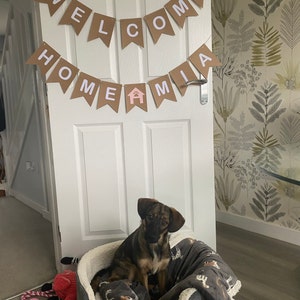 Welcome Home Puppy Personalised Personalized New Dog Banner Bunting ...