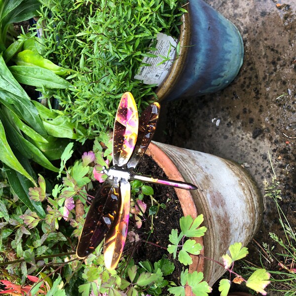 Gloss Black Spider. Made From Stainless Steel Dome Nuts. Scary ...