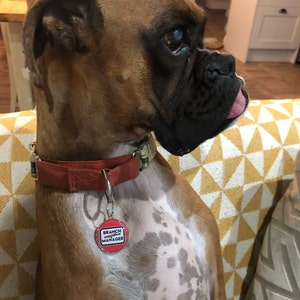 Poppy Dog Tag Flower Pet Tag Dog Name Tag Personalised Pet | Etsy