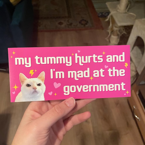My Tummy Hurts and I’m Mad at the Government 7" Bumper Sticker or ...