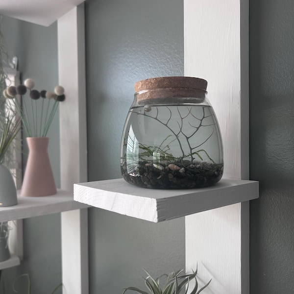 Set of 3 - Teo Mini Crystal Ball Terrarium Kit Home Office Desk ...