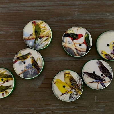 Bird Buttons Australian Birds Handmade Buttons - Etsy Australia