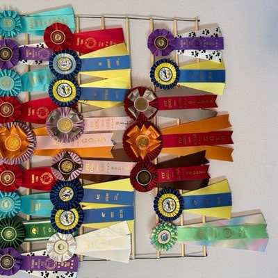 4-H FFA Ribbon Holder Display Award Rack Dog Show Ribbon Holder Award ...
