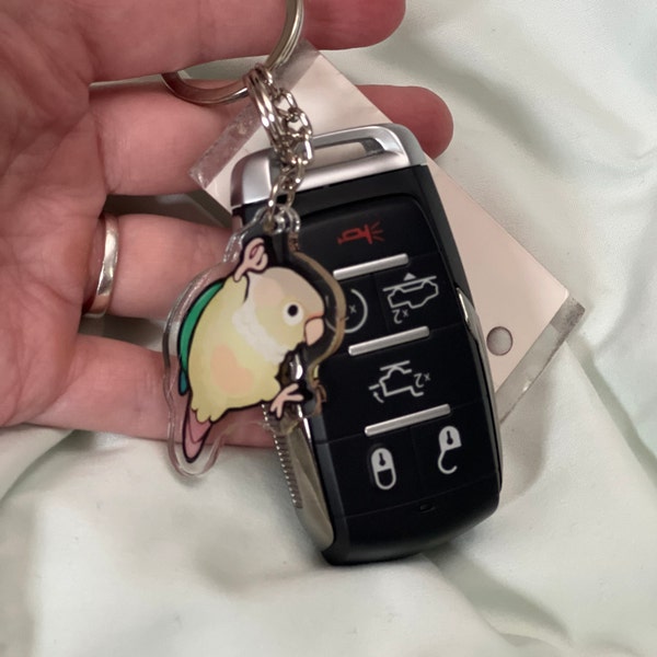 Dangling Green Cheek Conure Keychain - Etsy