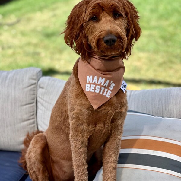 Dog Bandana Holder, Pet Bandana Organizer, Dog Clothing Organizer, Dog ...