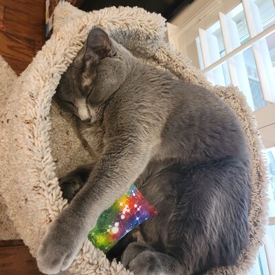 CATS MEOW Catnip Pillows Set of 2 Catnip Toys With Organic - Etsy