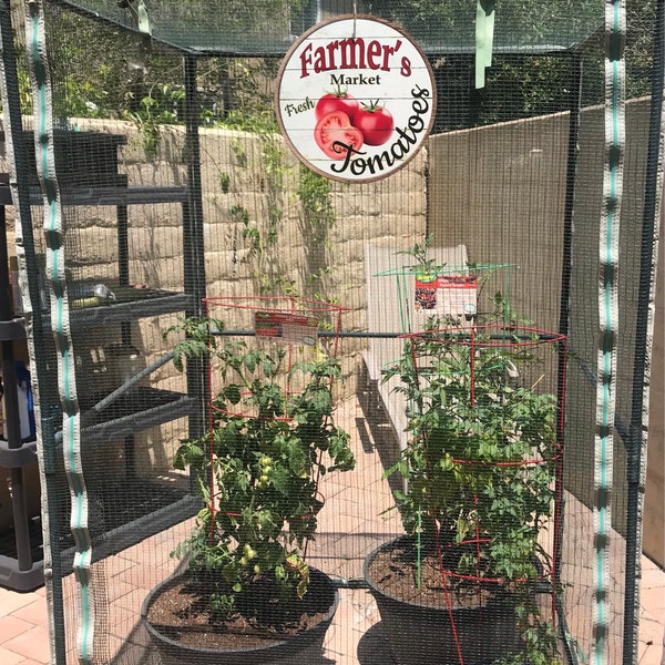 Farmers Market Fresh Tomatoes Novelty Metal Circular Sign 12" Farm ...