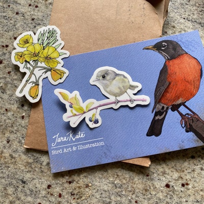 American Robin Sticker Birding Sticker Birdwatcher Gift - Etsy