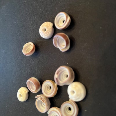 Hawaiian Puka Shells Vintage Natural Authentic - Etsy