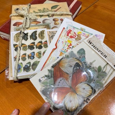 Large Butterfly Stickers Pack, Translucent Natural Science Themed ...