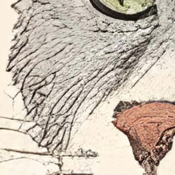 Racoon Wall Art Funny Bathroom Cute Animal Art Racoon Poster Racoon Art ...