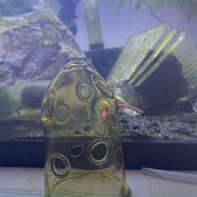 Swiss Dome Fish Tank Functional Art - Etsy