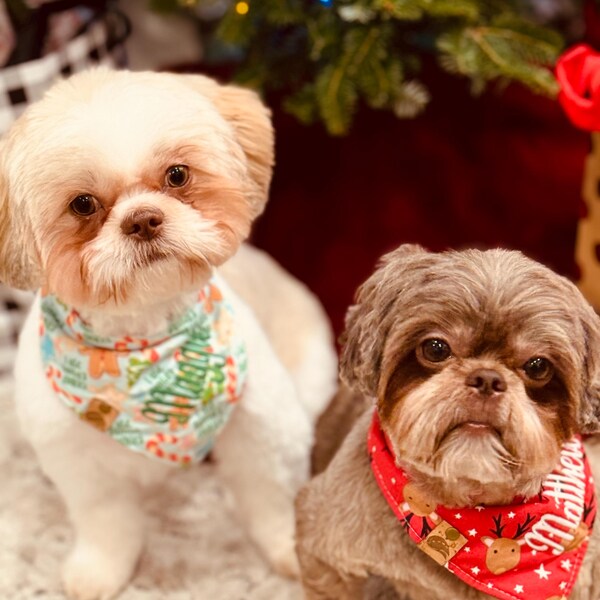 Dog Bandana Hot Dog Bandana Barbecue Dog Grill Master Gift Memorial Day ...