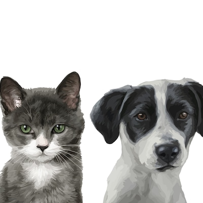 Digital Pet Portrait, Vector, Custom Pet Portrait, Pet Portrait From ...