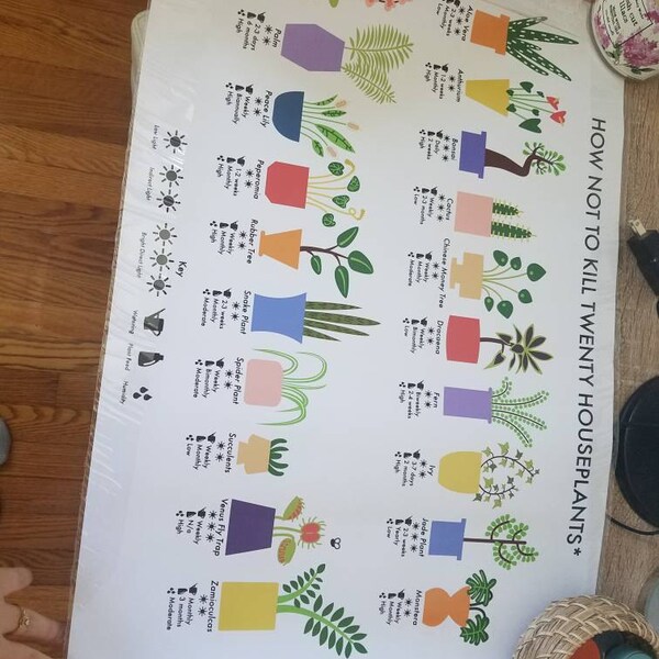 How Not to Kill Twenty Houseplants - Poster A4 / A3 / A2 - Houseplants ...