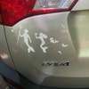 Unique Cat Family Car Decals - Etsy