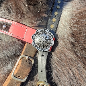 New Pair Jeremiah Watt Bridle Loop Back Conchos Black Floral Western ...