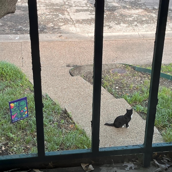 I Love It When Women, Sapphic Tank, WLW, Subtle, Lesbian Pride, Bi ...