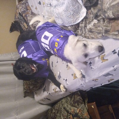 Louisiana State LSU Tigers Licensed Pet Jersey - Etsy