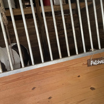 The Dog is Inside or Outside Reminder Sign Dog In/out Wooden Door ...