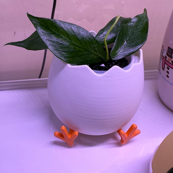 Broken Egg Shell Plant Pot Easter Egg Gift for Plant Lover 3D Printed ...