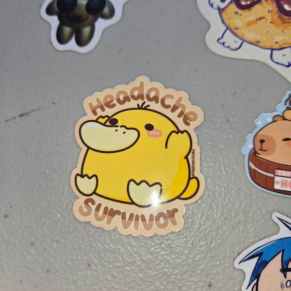 Please Handle With Love FRAGILE Sticker | Cat Meme Stickers | Kawaii ...