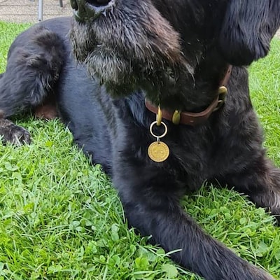 Brass Celtic Pet ID Tag, Dog Collar Tag, Engraved Tag for Pets. Custom ...