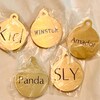 Solid Brass Saddle Plate , Halter Plate , Bridle Plate , Trophy Plate ...