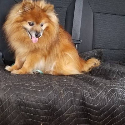 Jazz New York Shadow Box SVG Template, Saxaphone Papercut Lightbox ...