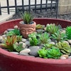 Face Wall Planter concrete NO PLANTS - Etsy