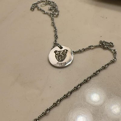 Pet Locket Necklace Custom Pet Photo Locket Locket Necklaces With Photo ...