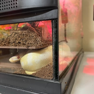 Aquarium Arched Underground Cave S - Etsy