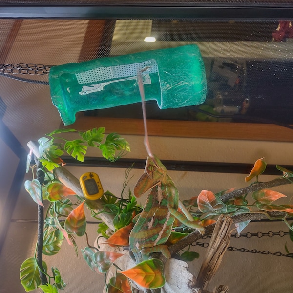 Naymars' Lizard-alley Cricket Feeder. Durable Made in the USA Chameleon ...