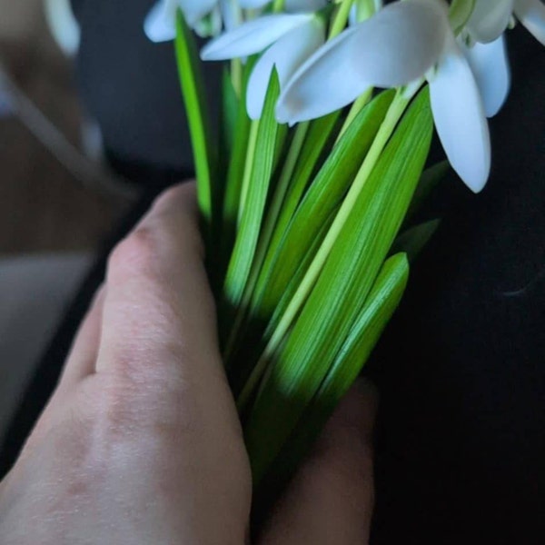 Snowdrop, Cold Porcelain Flowers, Real Touch Flowers, Artificial ...