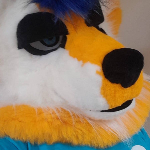 Fursuit Mask, Raptor Mask - Etsy