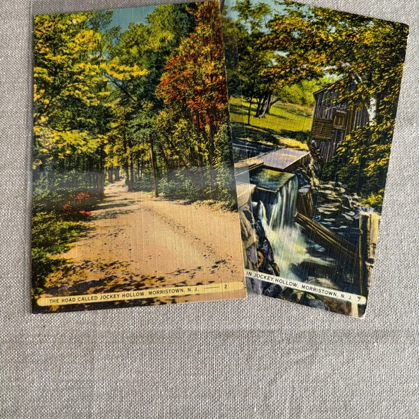 Vintage Postcard, Man Eater Tree, Loggers Laying Inside Giant Redwood ...