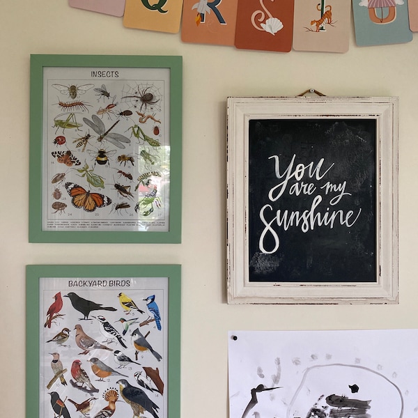 Backyard Birds Educational Posters, Montessori Nursery Downloadable ...