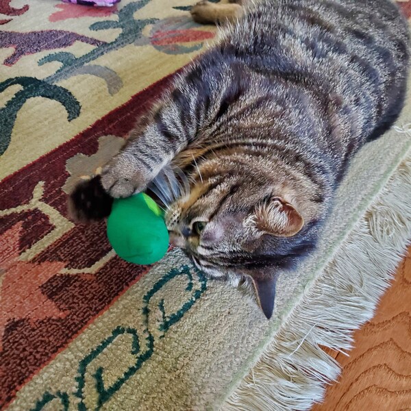 Pea Paw'd - Cat Nip Pea Pod Toy - Etsy