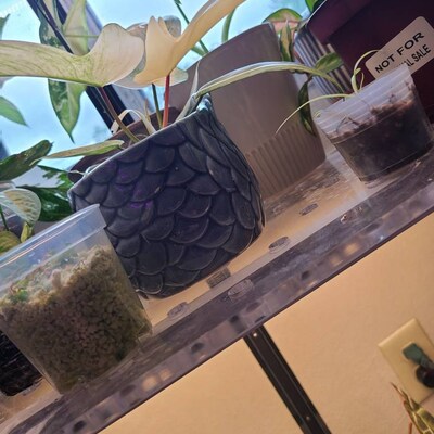 Milsbo Tall Side RISER Ikea Acrylic Shelves greenhouse - Etsy