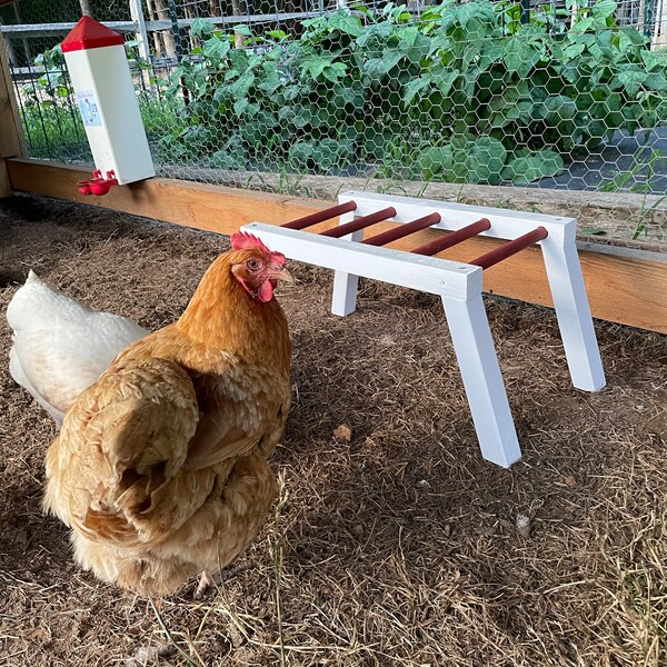 Amish Chicknic Table - A Picnic Table for Chickens - Etsy