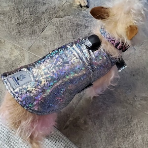 The Hawk Star Pet Protection Vest - Etsy