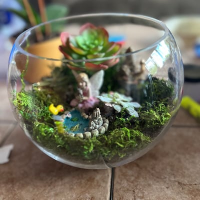 Enchanted Fairy Garden Terrarium Kit - Etsy